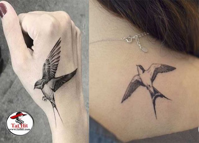 Best Magpie Tattoo Designs with Meanings for All Bird Lovers - Tat Hit